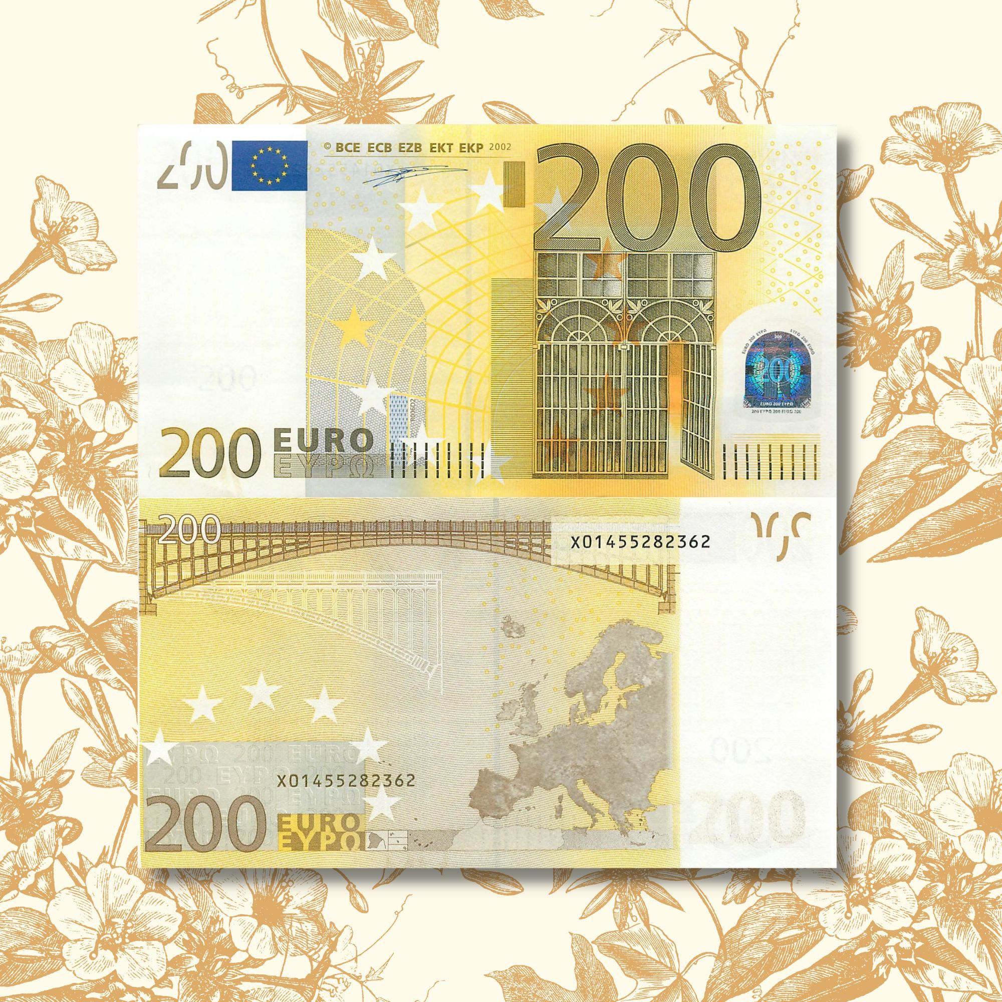 Billetes de euros para imprimir en PDF 💶 Descargables GRATIS