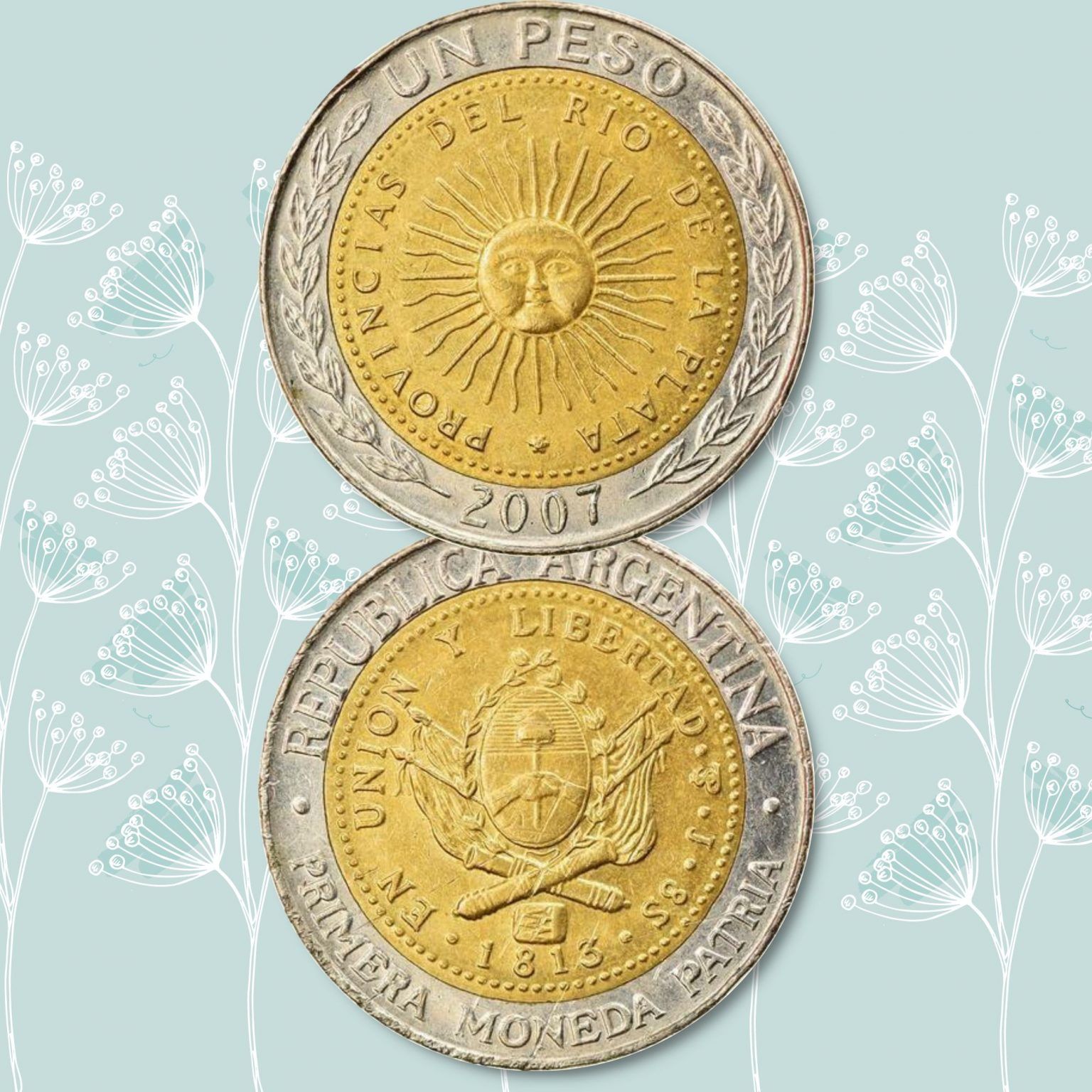 💵 Billetes y monedas de pesos argentinos para imprimir en PDF