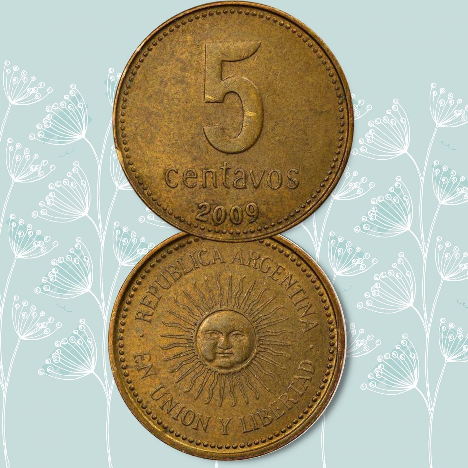 💵 Billetes y monedas de pesos argentinos para imprimir en PDF